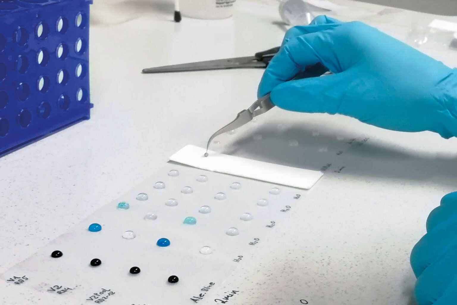 Damit die Medizin wirken kann - Gips-Schüle-Stiftung